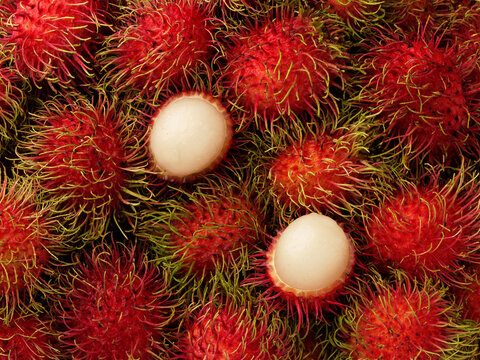 Rambutan Brown