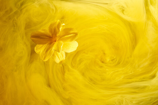 Yellow Science Background Images – Browse 566,102 Stock Photos, Vectors ...