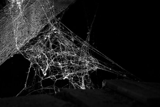 Daunt Images – Browse 562,241 Stock Photos, Vectors, and Video | Adobe ...