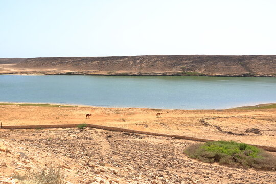 Rori Bilder – Durchsuchen 239 Archivfotos, Vektorgrafiken und Videos ...