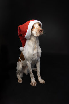 Bernhard photos, images, assets | Adobe Stock