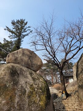 Introitus Images – Parcourir 560 le catalogue de photos, vecteurs et ...