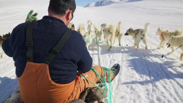 Mushers bilder – Bläddra bland 6,400 stockfoton, vektorer och videor ...