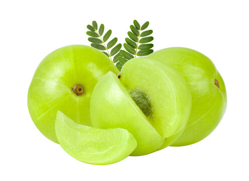 รูปภาพAmla – เลือกดูภาพถ่ายสต็อก เวกเตอร์ และวิดีโอ6,034 | Adobe Stock