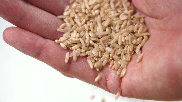 "Coarse Rice" - Images et vidéos libres de droits | Adobe Stock