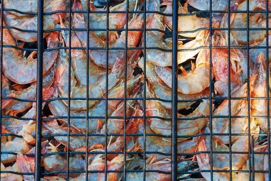Imágenes de Catch: descubre bancos de fotos, ilustraciones, vectores y ...