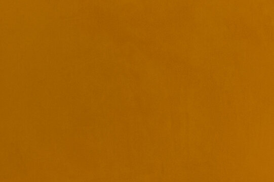 Yellow Mustard Color