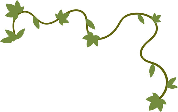 Jungle Vines Vector