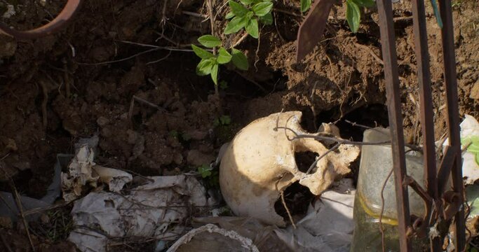 Unearthed Images – Parcourir 26,614 le catalogue de photos, vecteurs et ...