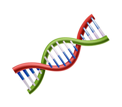 Dna Strand Clipart