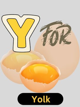 Imagens de Double-Yolk – Explore Fotografias do Stock, Vetores e Vídeos ...