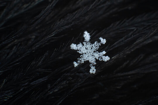 "Real Snowflake" Images – Browse 28 Stock Photos, Vectors, and Video ...