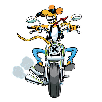 Imágenes de "Rat Bike": descubre bancos de fotos, ilustraciones ...
