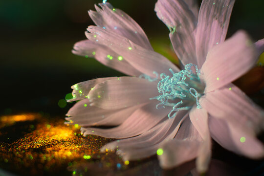 Floration Bilder – Durchsuchen 131 Archivfotos, Vektorgrafiken und ...