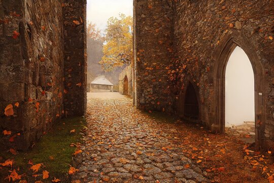 Surround Images – Browse 1,163,519 Stock Photos, Vectors, and Video ...