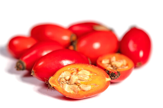 รูปภาพHage – เลือกดูภาพถ่ายสต็อก เวกเตอร์ และวิดีโอ4,780 | Adobe Stock