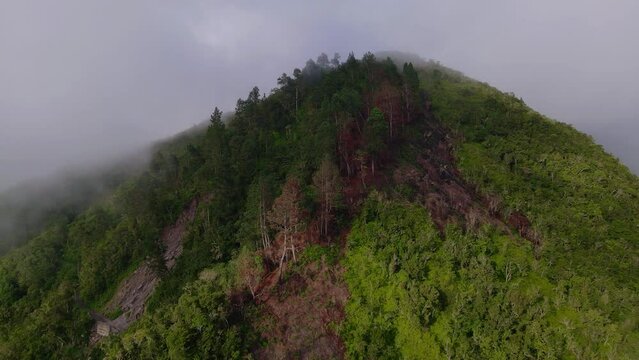 Jamaica Scenery bilder – Bläddra bland 3,600 stockfoton, vektorer och ...