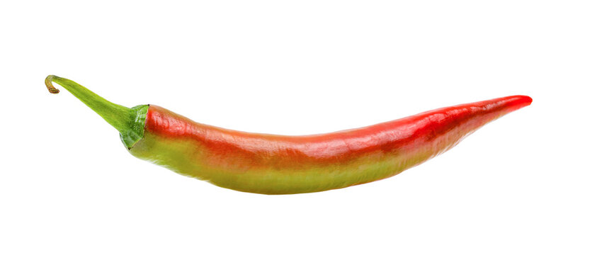 Chilli Bilder – Durchsuchen 3,606,093 Archivfotos, Vektorgrafiken und ...