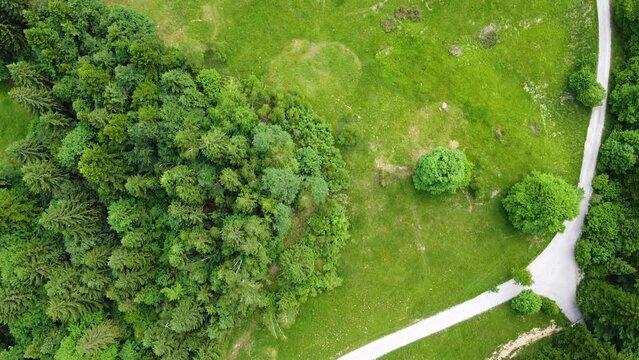 Risnjak Images – Browse 722 Stock Photos, Vectors, and Video | Adobe Stock