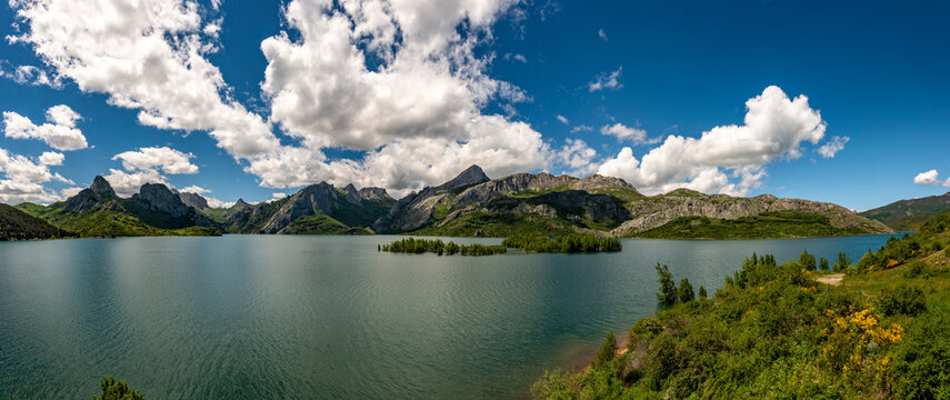 Imágenes de Pinales: descubre bancos de fotos, ilustraciones, vectores ...