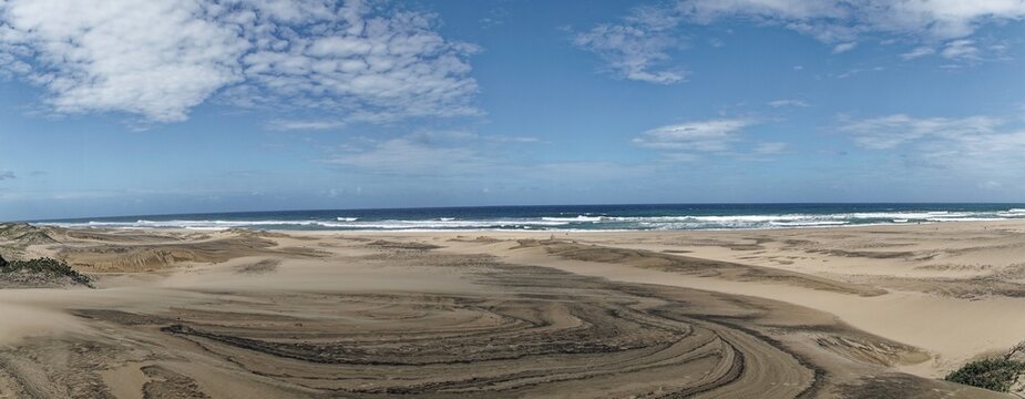 Ingwe Bilder – Durchsuchen 138 Archivfotos, Vektorgrafiken und Videos ...