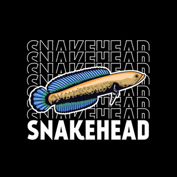 รูปภาพSnakehead – เลือกดูภาพถ่ายสต็อก เวกเตอร์ และวิดีโอ2,509 | Adobe Stock