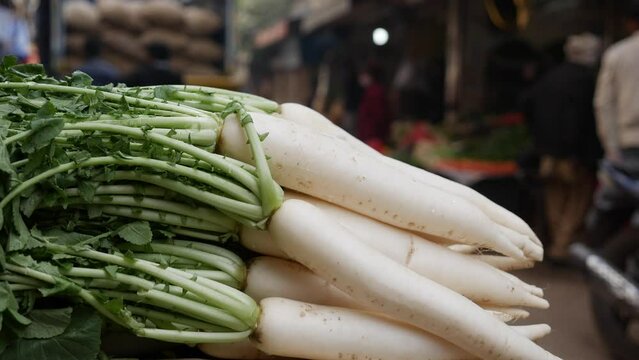 Mooli Images – Browse 1,157 Stock Photos, Vectors, and Video | Adobe Stock