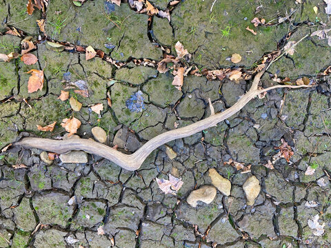 รูปภาพMicrocomedones – เลือกดูภาพถ่ายสต็อก เวกเตอร์ และวิดีโอ27,643 ...