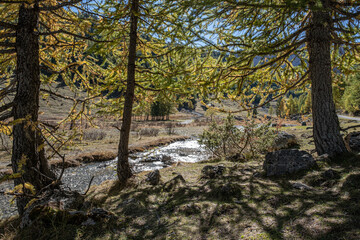 Plakat Dan River, originating from Tel Dan springs, the largest of the ...