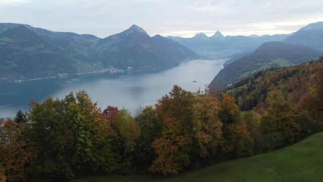 Mire Video Imagens – Procure 25,260 fotos, vetores e vídeos | Adobe Stock