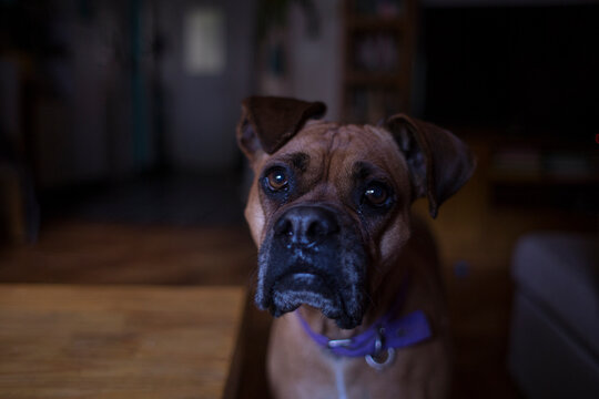 「Bocker」の写真素材 | 24件の無料イラスト画像 | Adobe Stock