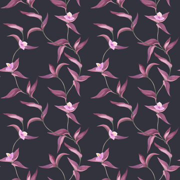 Setcreasea Images – Browse 5,119 Stock Photos, Vectors, and Video ...