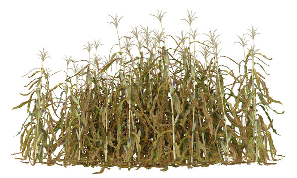 "Green Tractor" Bilder – Durchsuchen 551 Archivfotos, Vektorgrafiken ...