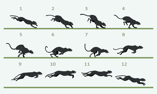 Imágenes de "Running Animation": descubre bancos de fotos ...