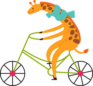 Giraffe Riding A Bike