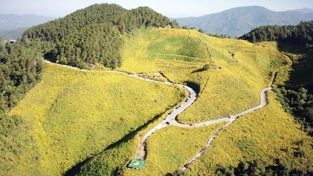 รูปภาพVallay – เลือกดูภาพถ่ายสต็อก เวกเตอร์ และวิดีโอ274 | Adobe Stock