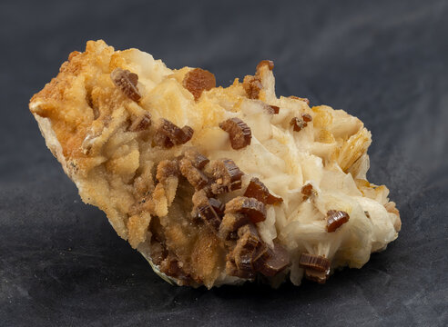 รูปภาพCawk – เลือกดูภาพถ่ายสต็อก เวกเตอร์ และวิดีโอ1,597 | Adobe Stock