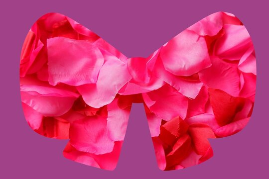 発表会 花 Images – Browse 604 Stock Photos, Vectors, and Video | Adobe Stock