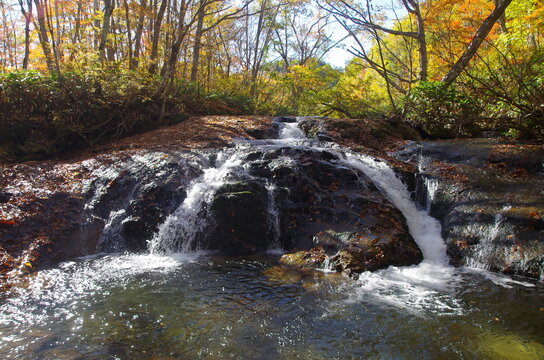 Wespenkorb Bilder – Durchsuchen 509 Archivfotos, Vektorgrafiken und ...