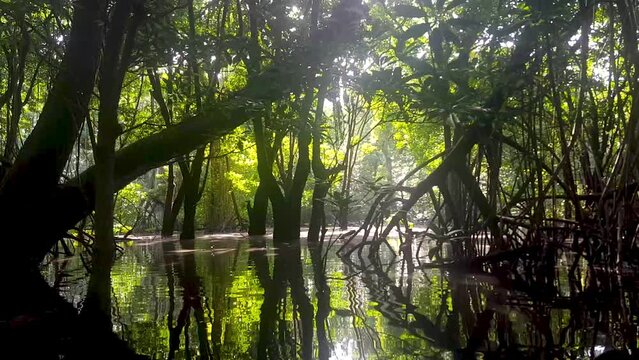 Pohnpei Imagens – Procure 1,228 fotos, vetores e vídeos | Adobe Stock