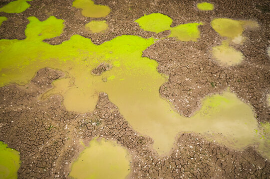 Wasserleiche Bilder – Durchsuchen 74,943 Archivfotos, Vektorgrafiken ...