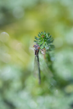 Variabele Images – Browse 3 Stock Photos, Vectors, and Video | Adobe Stock