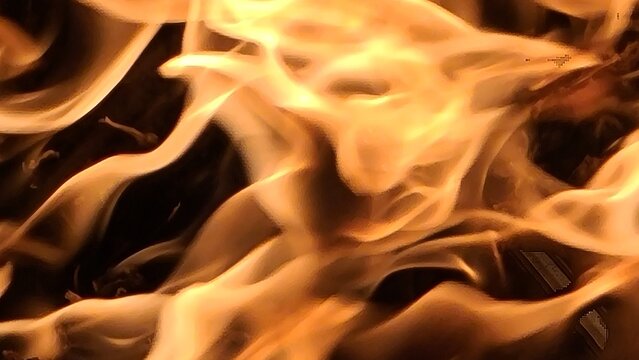 굽기 Images – Browse 793 Stock Photos, Vectors, and Video | Adobe Stock