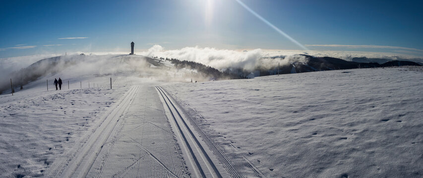 Imágenes de Pinales: descubre bancos de fotos, ilustraciones, vectores ...