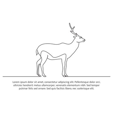 Deer Line Drawing Images – Browse 46,800 Stock Photos, Vectors, and ...