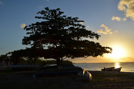 Couva Images – Browse 33 Stock Photos, Vectors, and Video | Adobe Stock