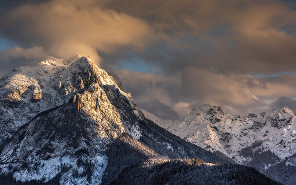 Istock-Bilder: Stock-Fotos & -Videos. | Adobe Stock