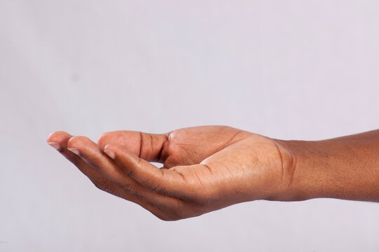 "Palm Up" Images – Parcourir 1,176 le catalogue de photos, vecteurs et vidéos | Adobe Stock