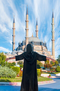 Imágenes de Mimar: descubre bancos de fotos, ilustraciones, vectores y ...