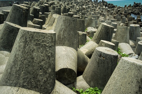 Tetrapods Bilder – Durchsuchen 16,358 Archivfotos, Vektorgrafiken und ...